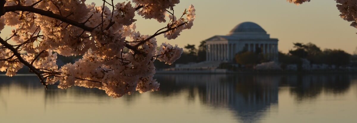 HiT Episode No. 67 - National Review's Jim Geraghty - Hollywood in Toto