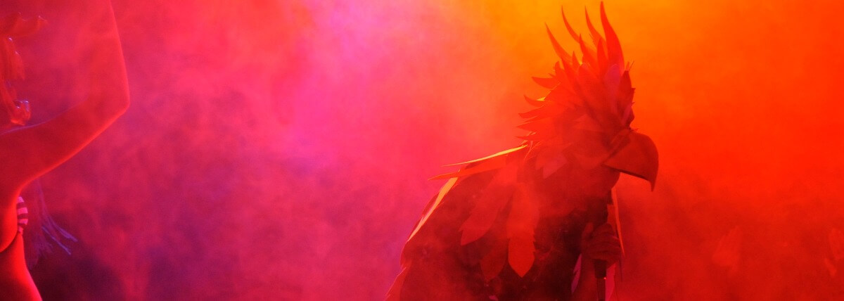 Doc Reveals What Makes 'Meow Wolf' Magical - Hollywood in Toto