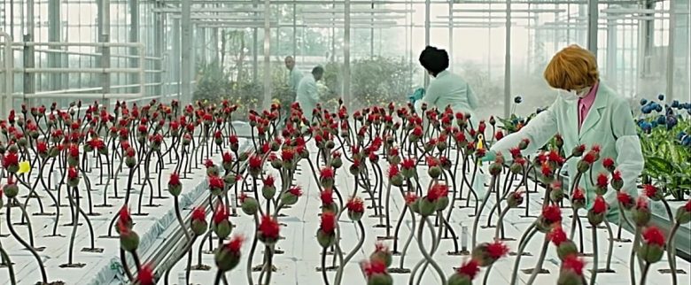 'Little Joe' Offers Slick Thrills, Snore-Worthy Twists - Hollywood in Toto