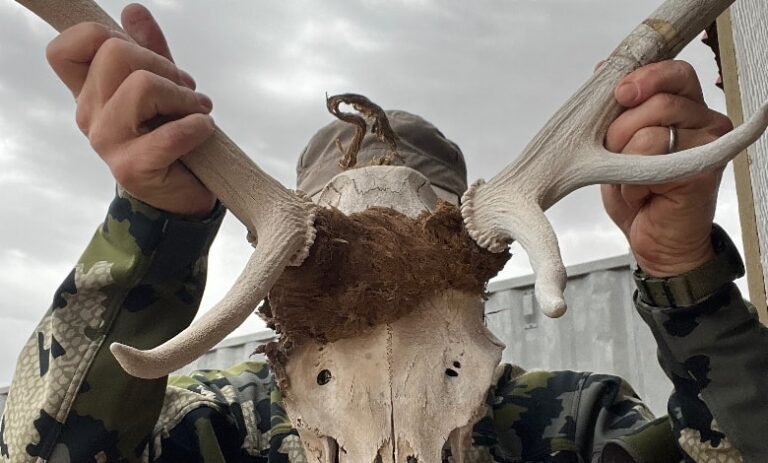 'Shape of Shadows' Looks Beyond Paranormal Hot Spot - Hollywood in Toto