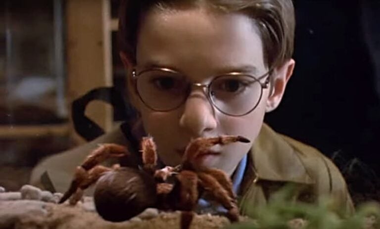 31 Days of Horror - 'Eight-Legged Freaks' - Hollywood in Toto