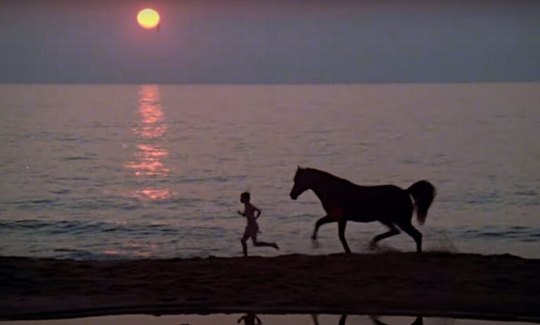 'Black Stallion' Remains the 'Citizen Kane' of Equestrian Films